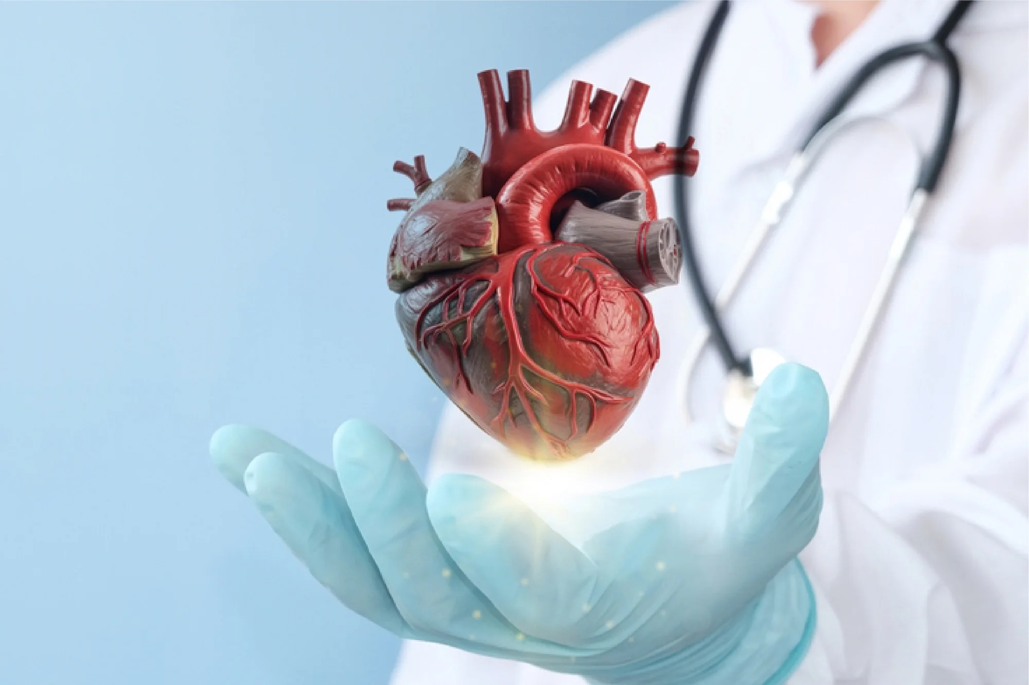 Students & Clinical Rotations - New Beats Cardiology